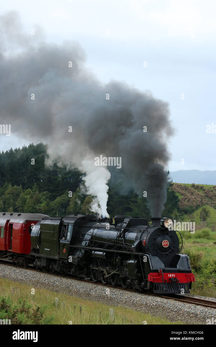 Preserved steam train run past in North Island, New Zealand on Sunday ...
