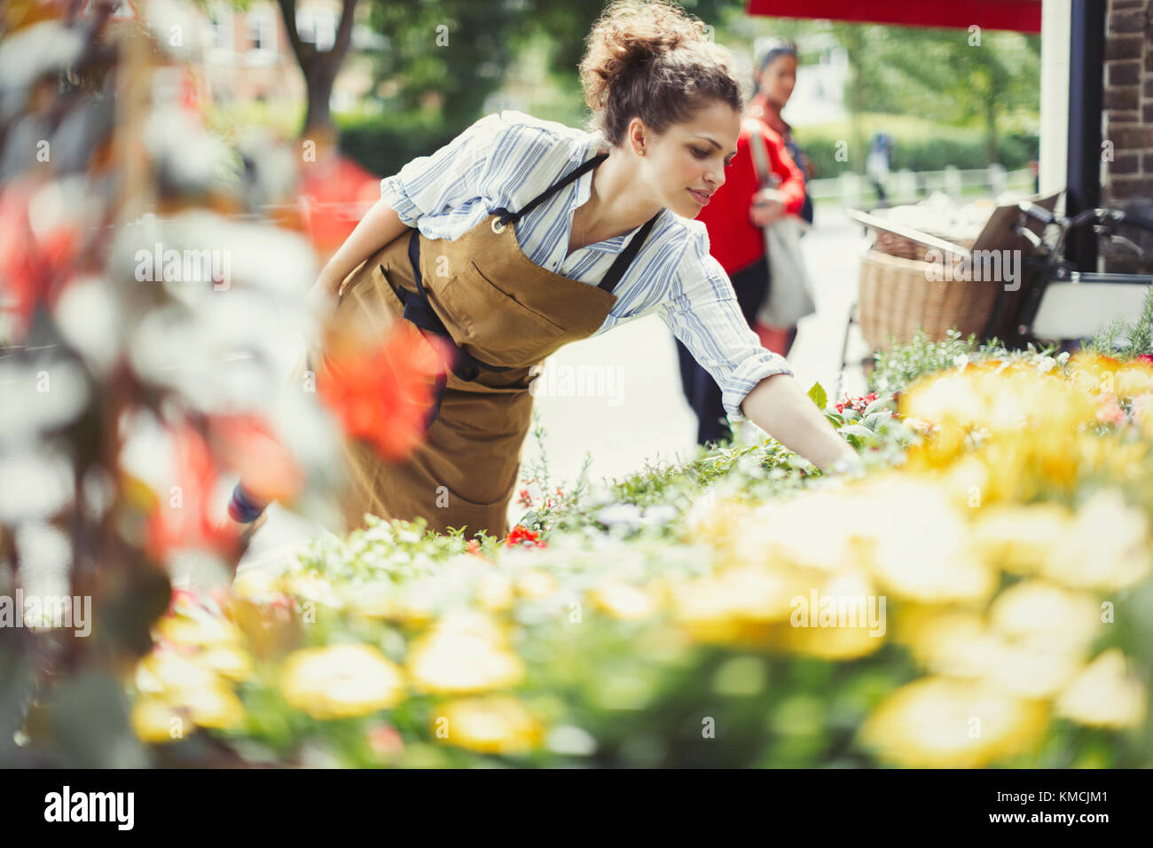 Female florist checking plants at sunny flower shop storefront Stock ...