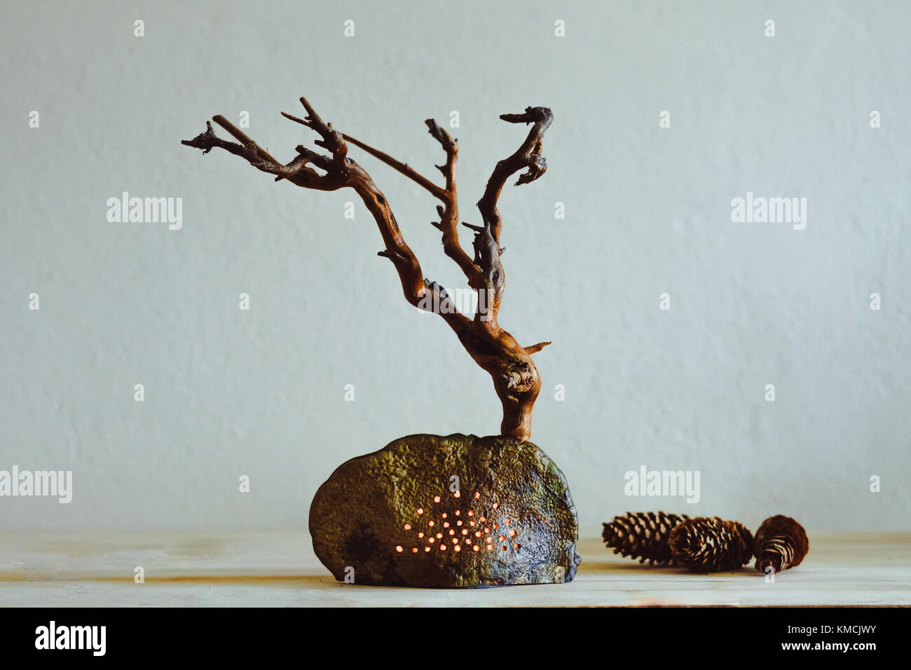 Dried Tree With Roots on the table as decoration Stock Photo - Alamy