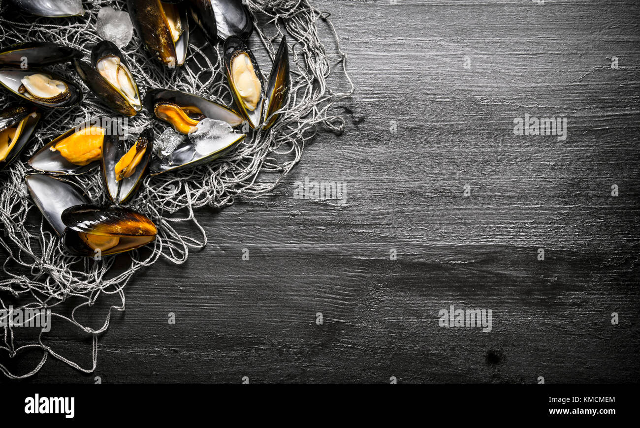 Clams on the fishing net. On a black wooden background. Free space for ...