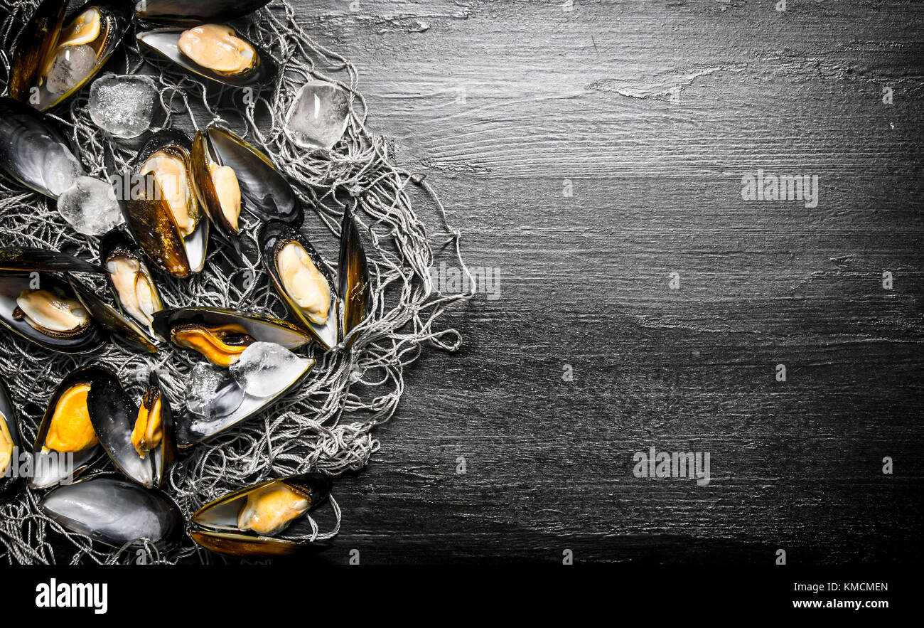 Clams on the fishing net. On a black wooden background. Free space for ...