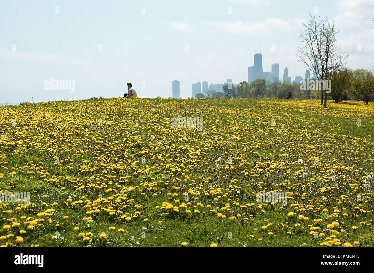 Chicago Sunny Day In Spring High Resolution Stock Photography and ...