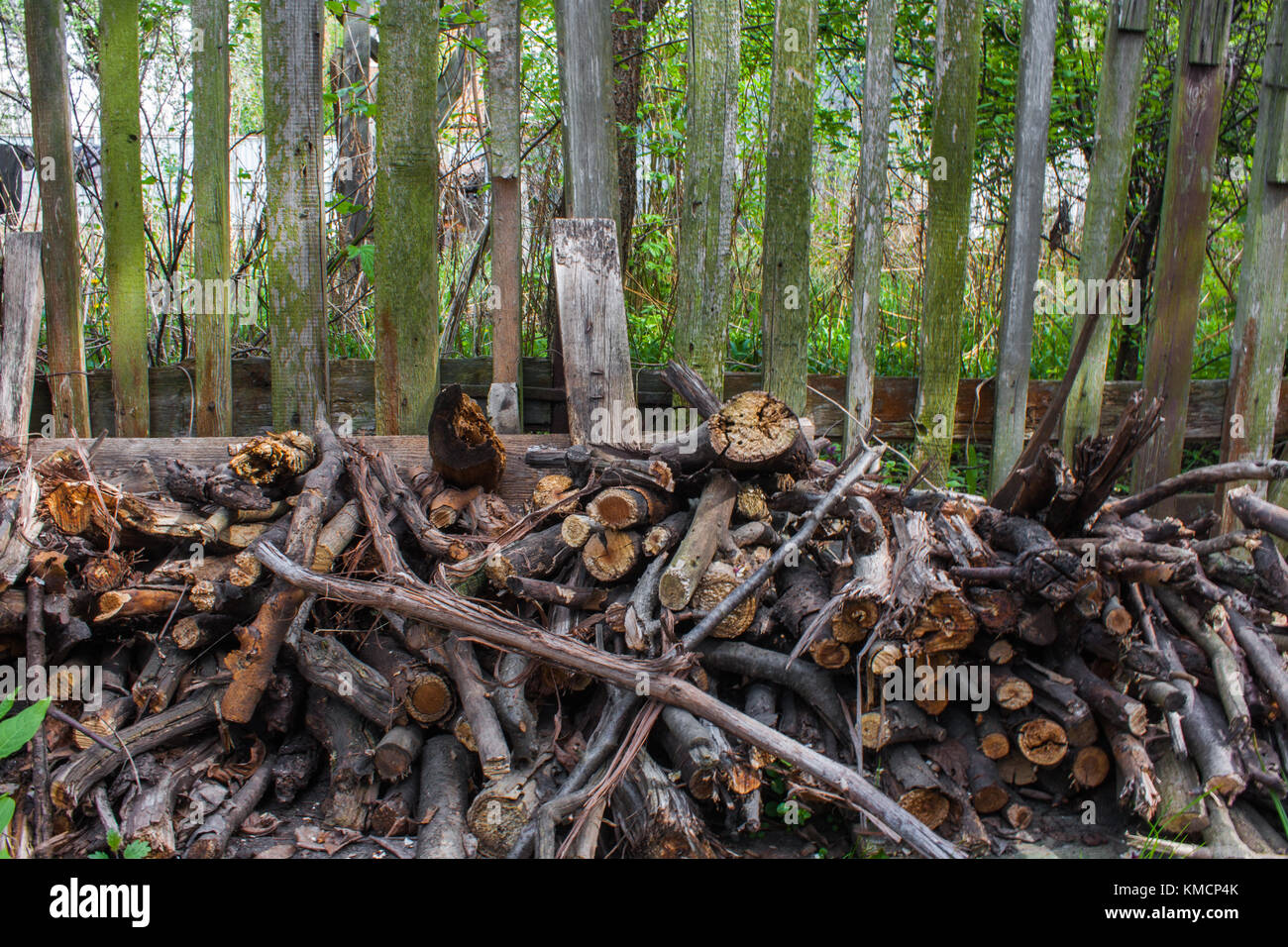 Woodpile of chopped lumber. Pile of wood logs. Stacked firewood timber ...