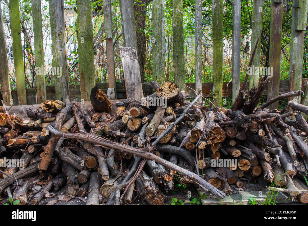 Woodpile of chopped lumber. Pile of wood logs. Stacked firewood timber ...