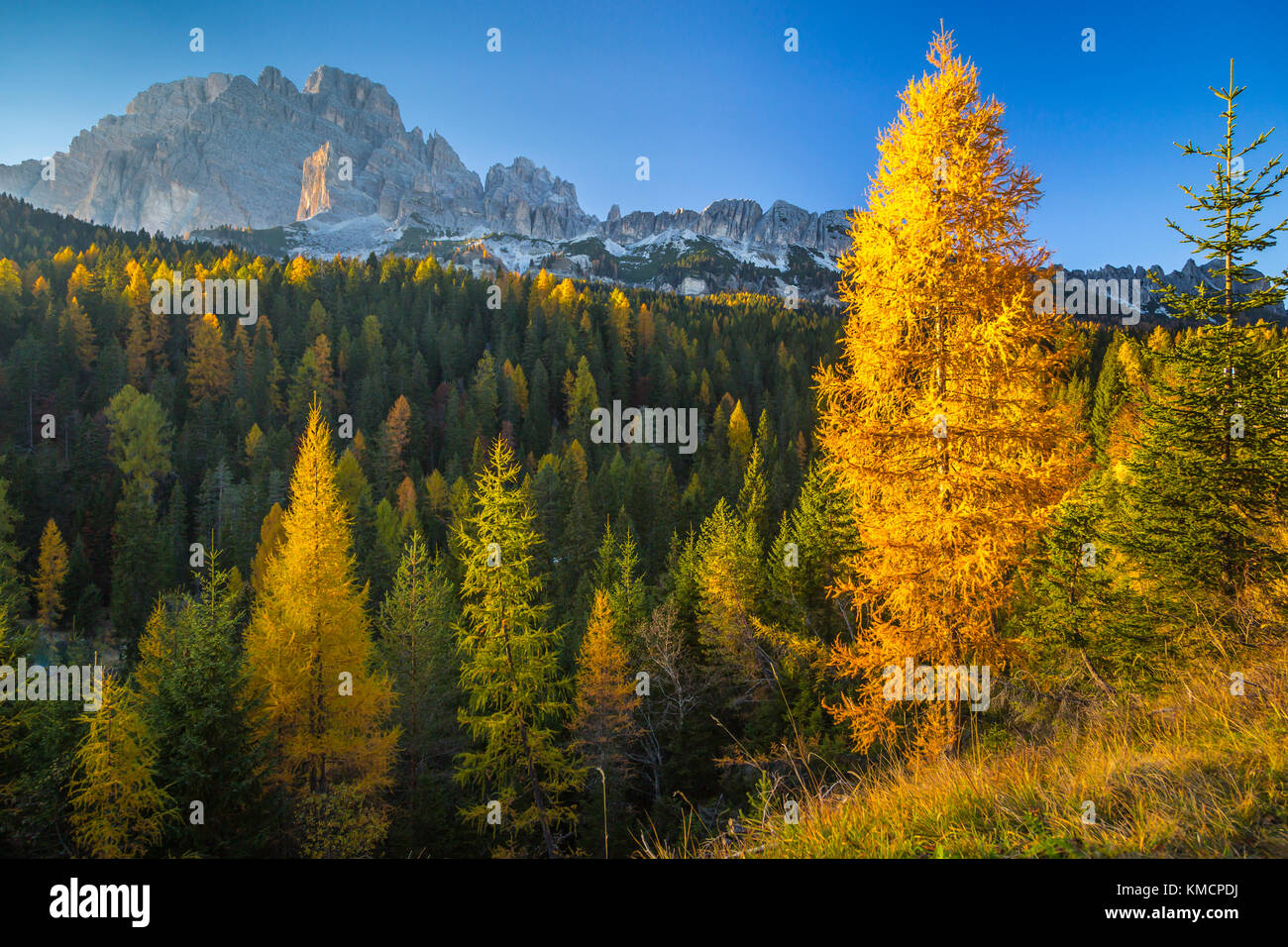 The Dolomite mountain range with fall foliage color near Auronzo di ...