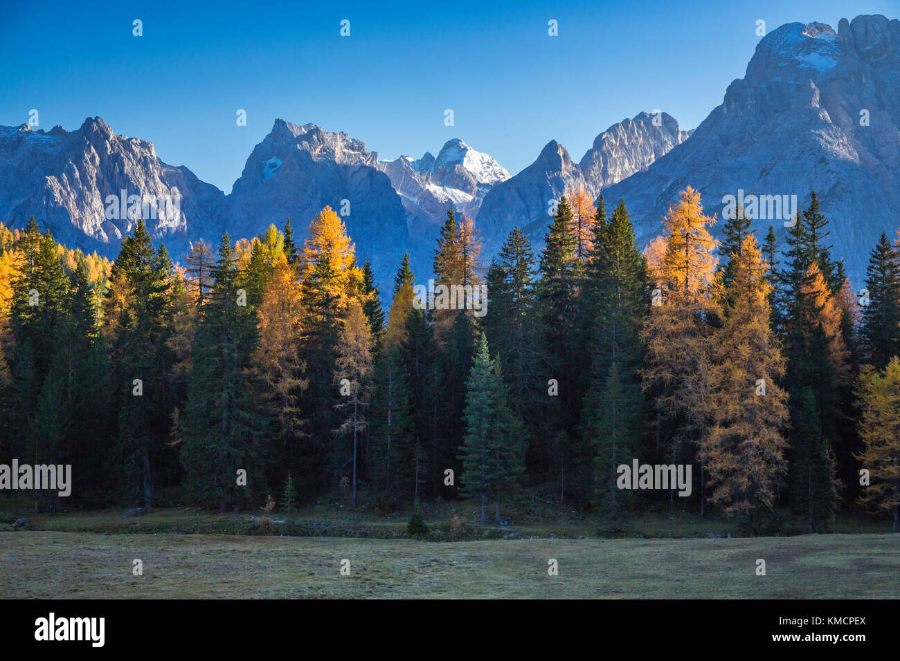 The Dolomite mountain range with fall foliage color near Auronzo di ...