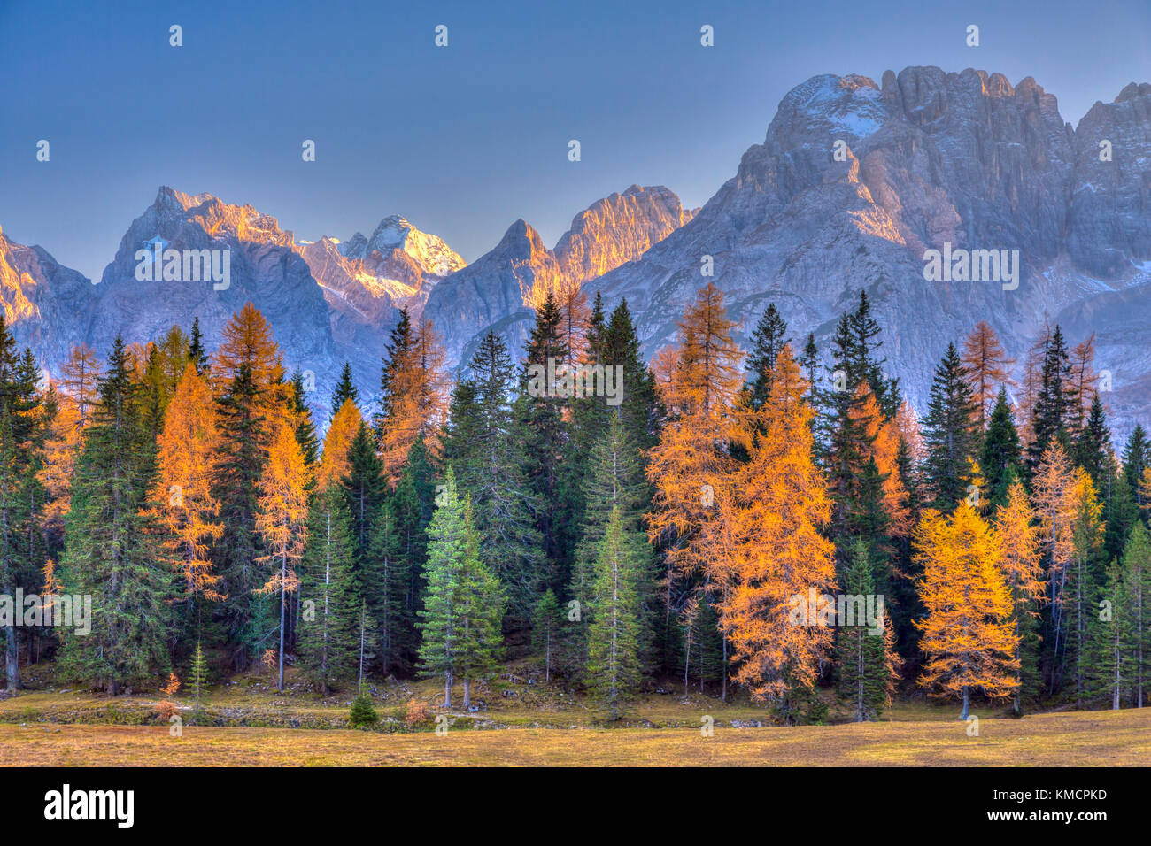 The Dolomite mountain range with fall foliage color near Auronzo di ...