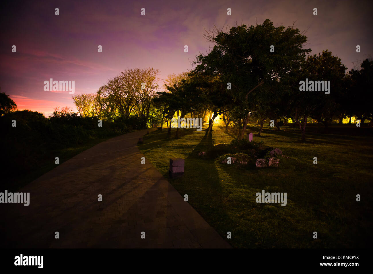 Silhouettes of trees on footpath in park at sunset time Stock Photo - Alamy