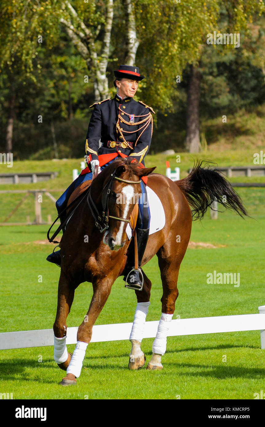 Mounted Republican Guards attend equestrian parade at Grand Parquet ...