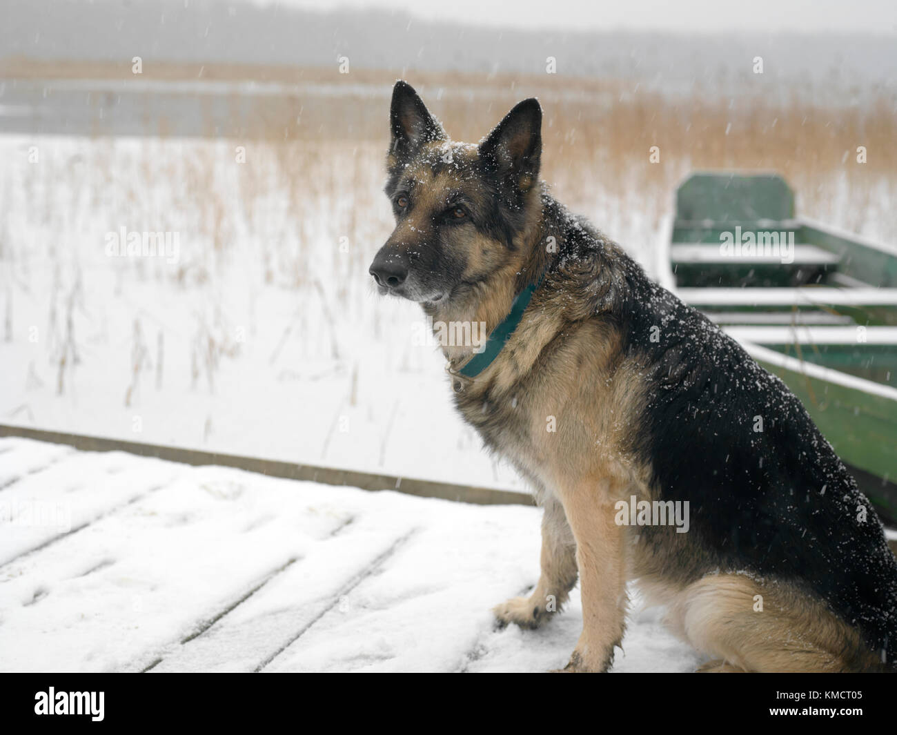Shepherd jetty hi-res stock photography and images - Alamy