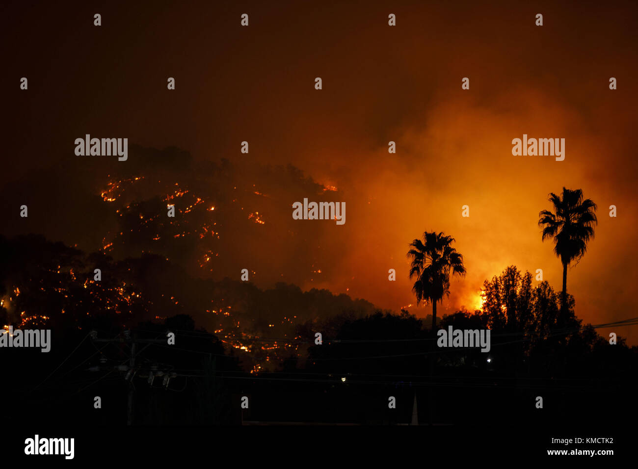 Oak View California Usa 5th Dec 2017 Palm Trees Stand As The