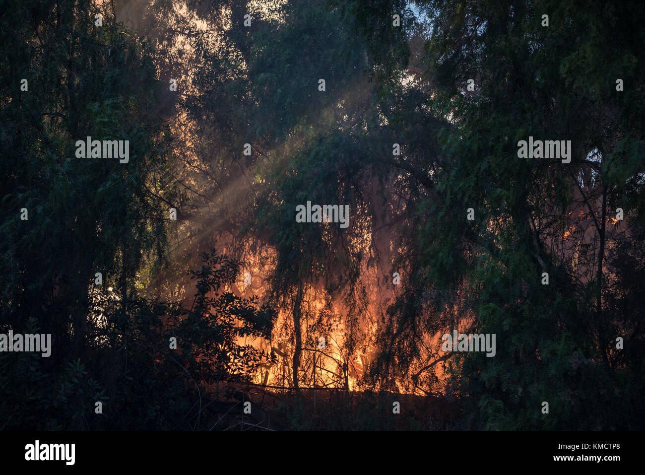 Santa Paula, California, USA. 5th Dec, 2017. A fire ablaze during the ...