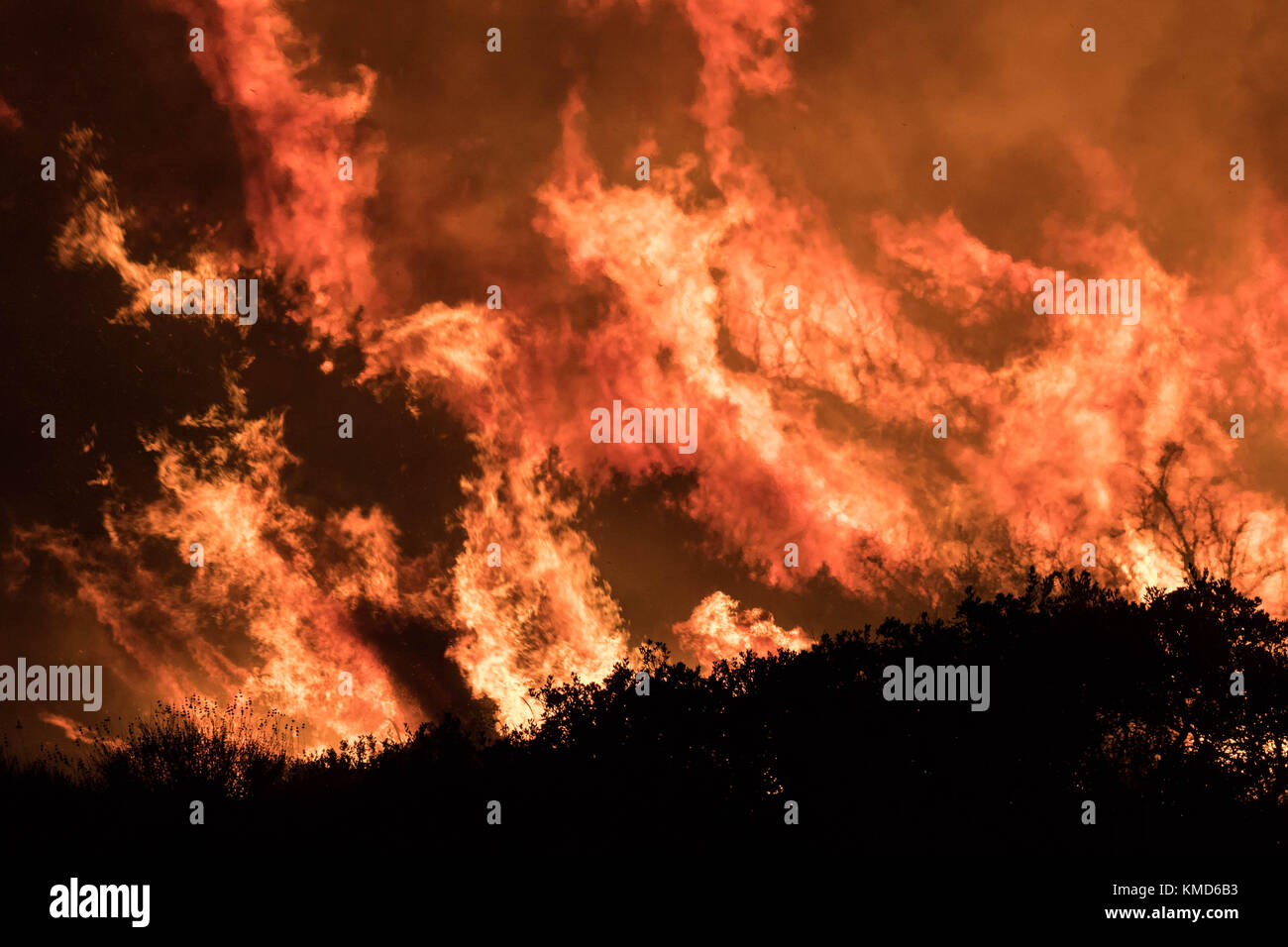 Ventura, USA. 6th December, 2017. Firefighters fighting wildland fire ...