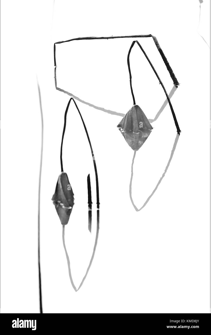 December live Cut Out Stock Images & Pictures - Alamy