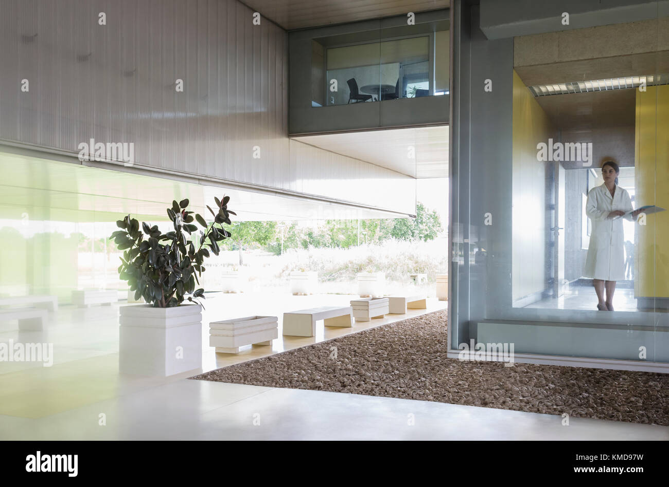 Female scientist in lab coat standing at window in modern office Stock ...