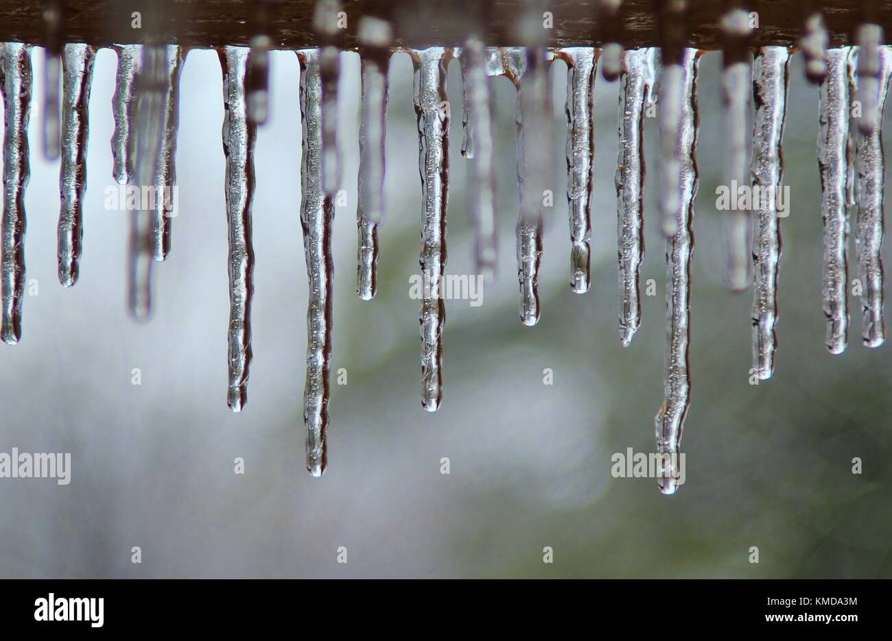 Winter Freeze - Cold and Beautiful Creations from Nature Stock Photo ...