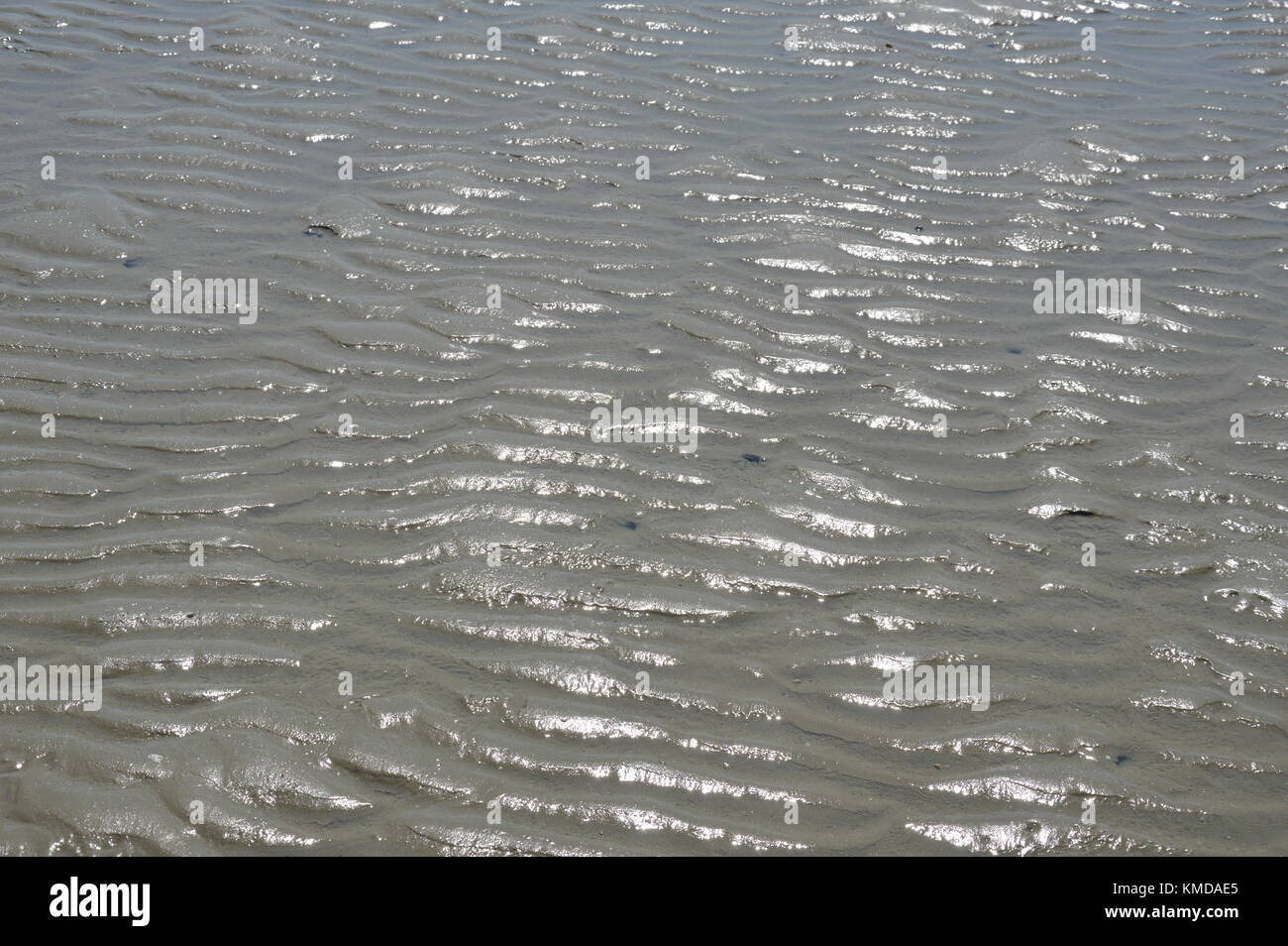undulation sand on the beach Stock Photo - Alamy