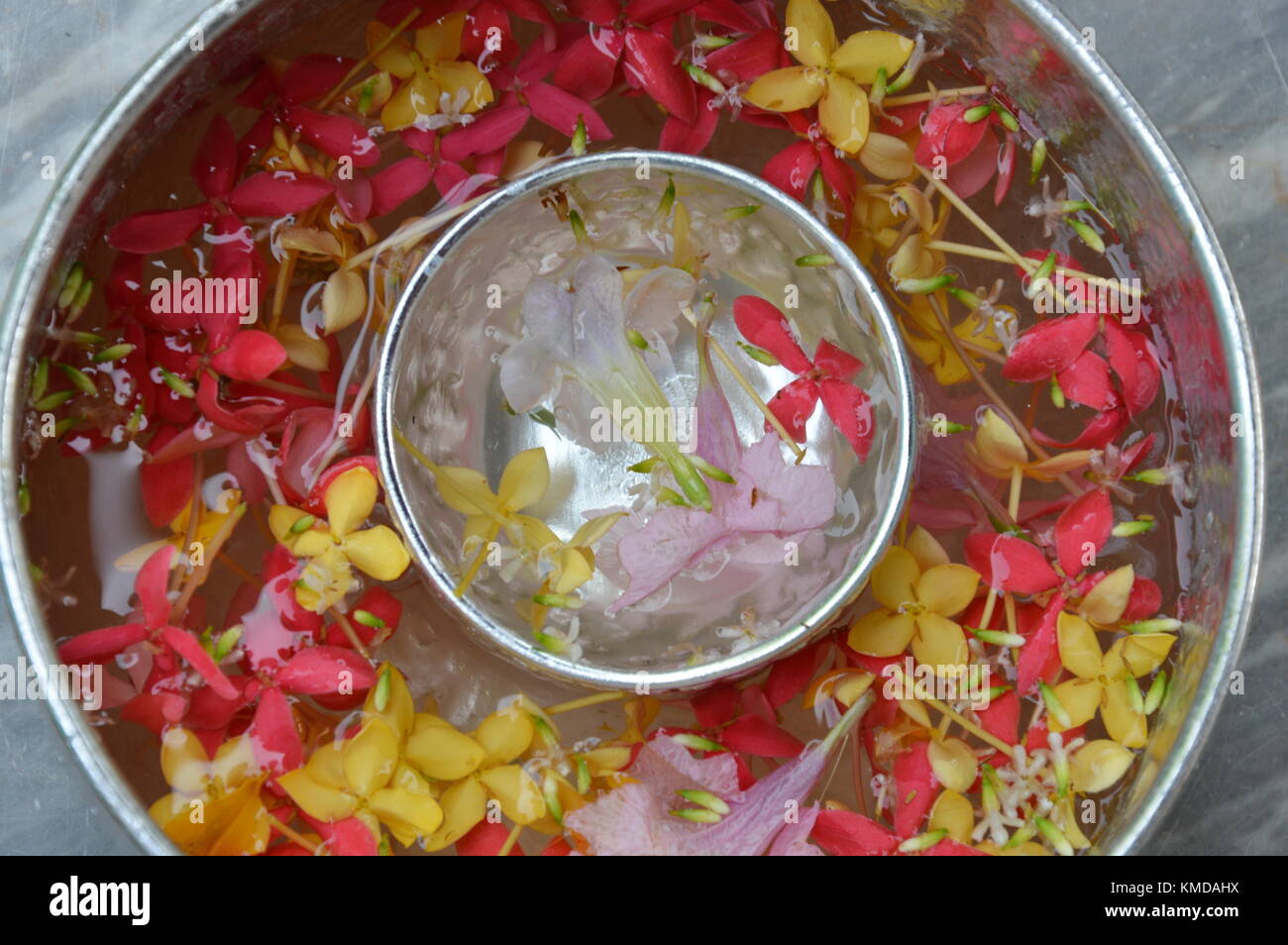 water flower for Songkarn Thai tradition in the bowl Stock Photo - Alamy
