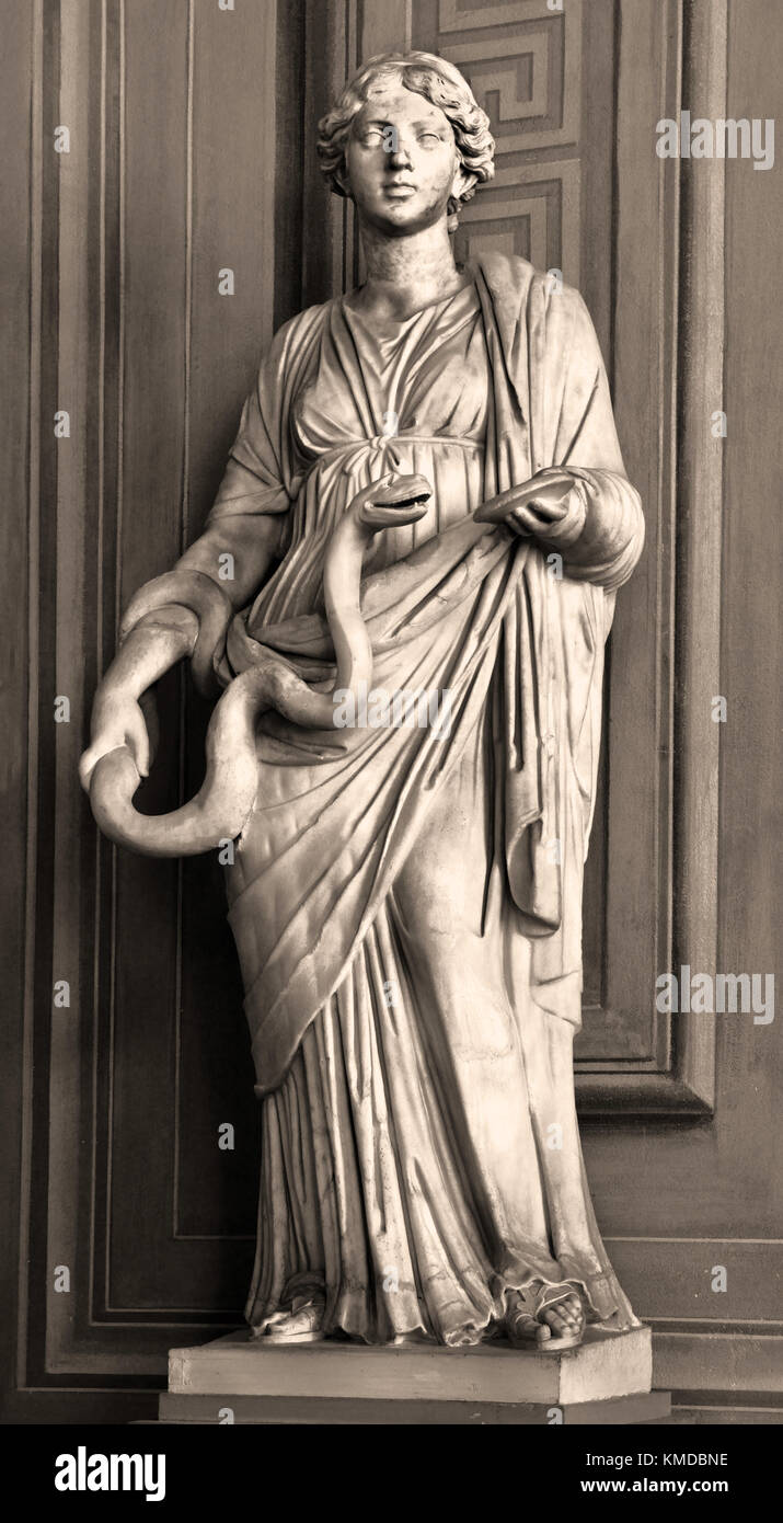 Hygiea Roman Statue in the Palatina Gallery - Galleria Palatina ...