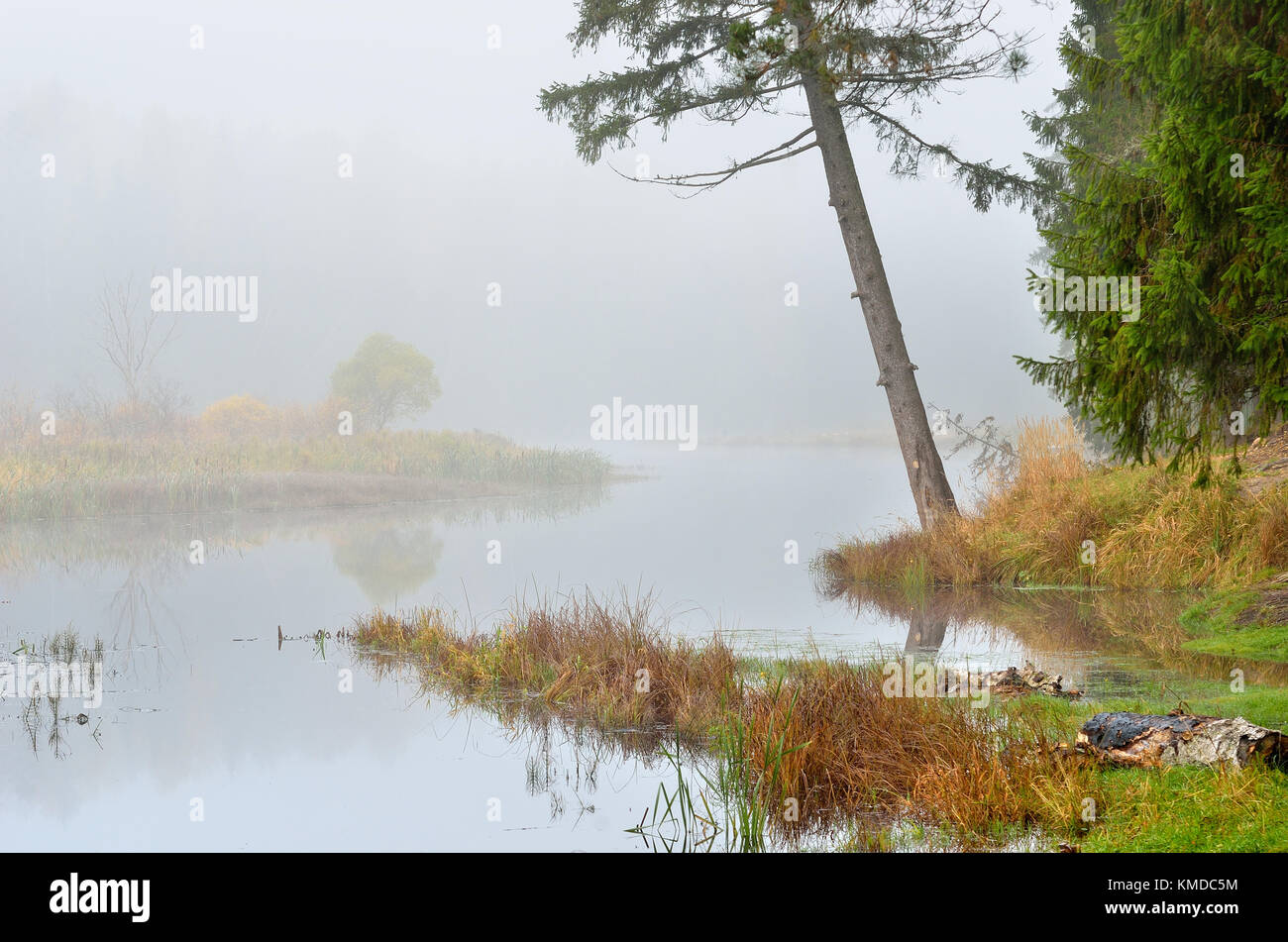 Autumn river scene in strong fog Stock Photo - Alamy