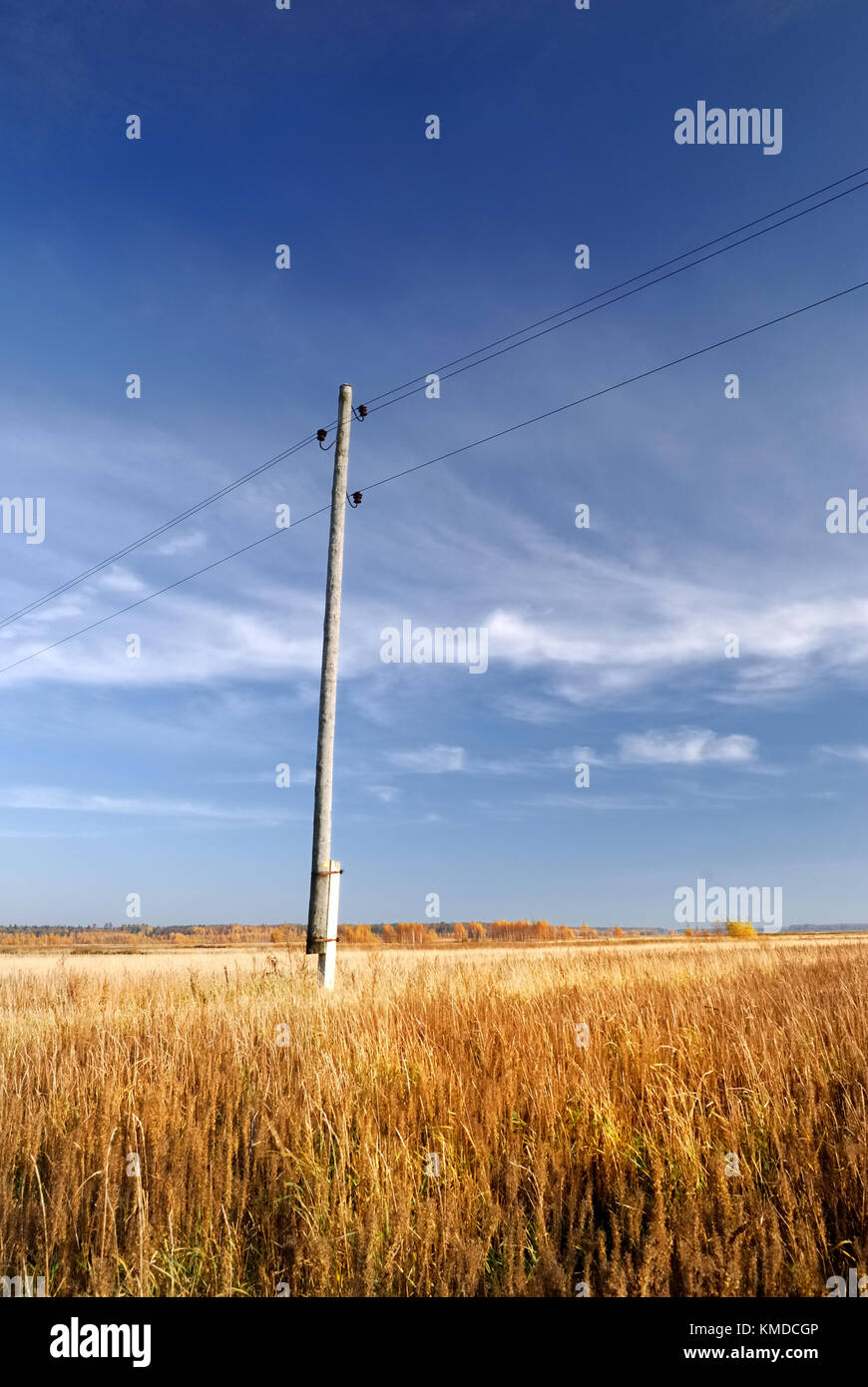 Cereal field in fall season. Latvia Stock Photo - Alamy