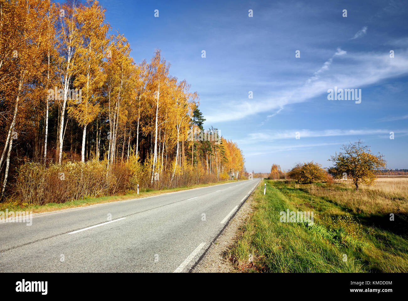 country road in fall season. Latvia Stock Photo - Alamy