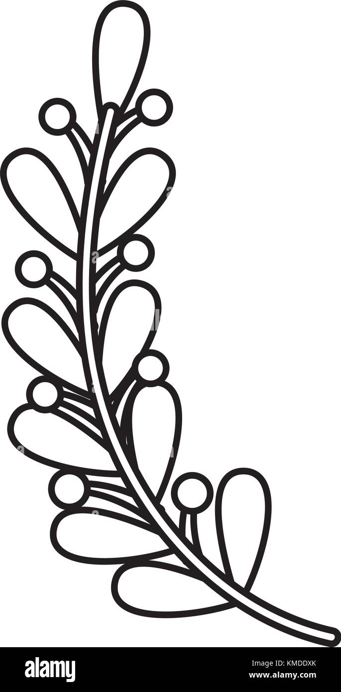 line rustic leaves natural branch design Stock Vector Image & Art - Alamy