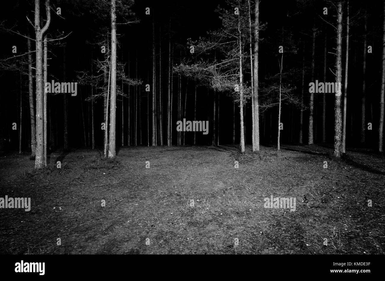 Night meadow Black and White Stock Photos & Images - Alamy