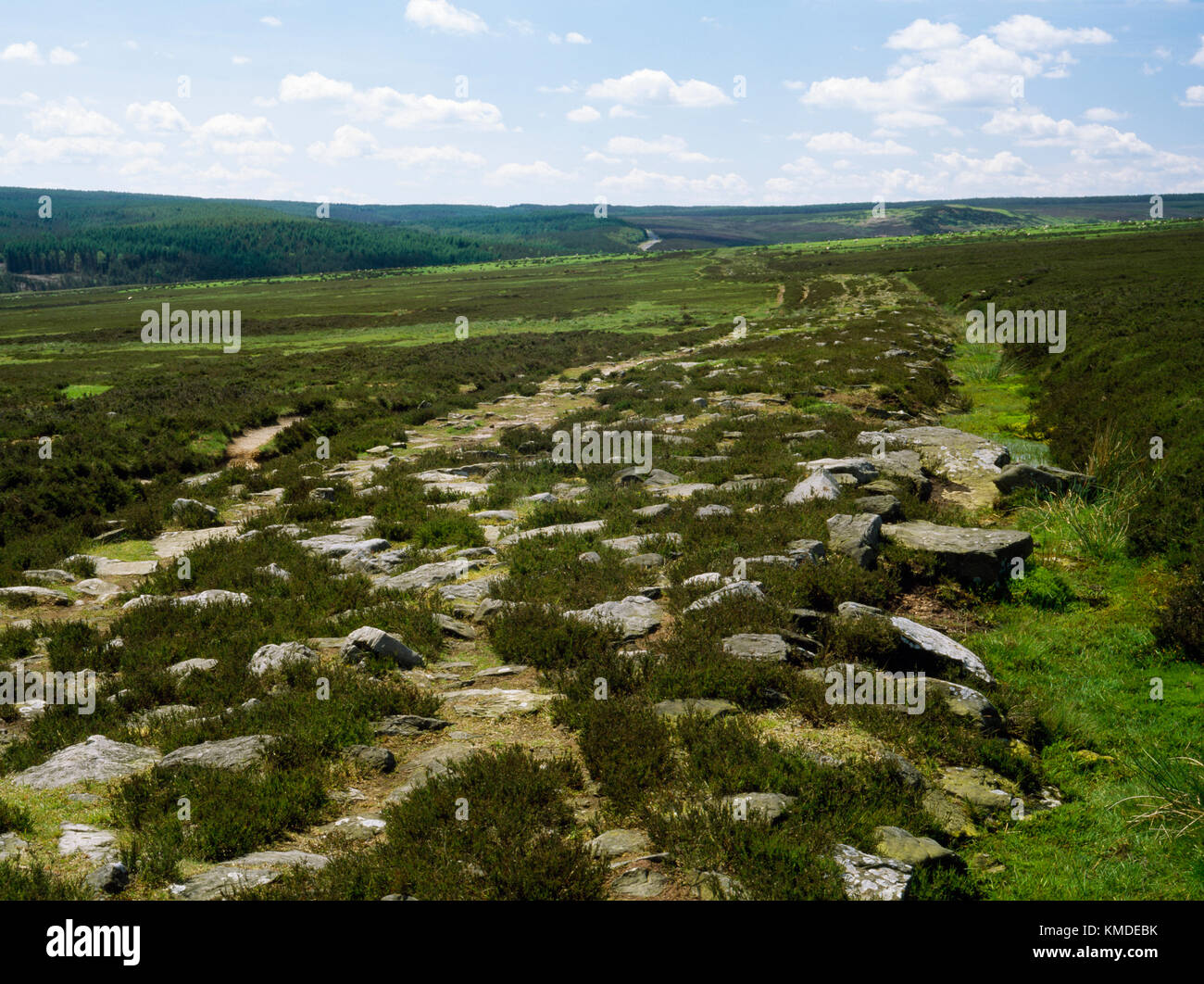 Wheeldale Moor Roman road, near Goatland, Whitby, North Yorkshire ...