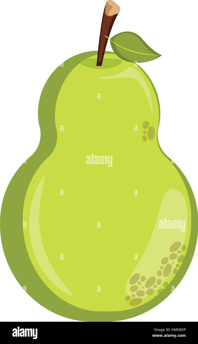 Isolated pear illustration Stock Vector Image & Art - Alamy