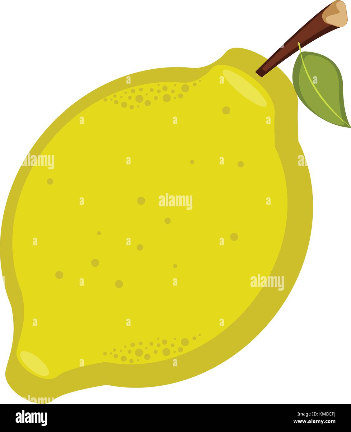 Isolated lemon illustration Stock Vector Image & Art - Alamy