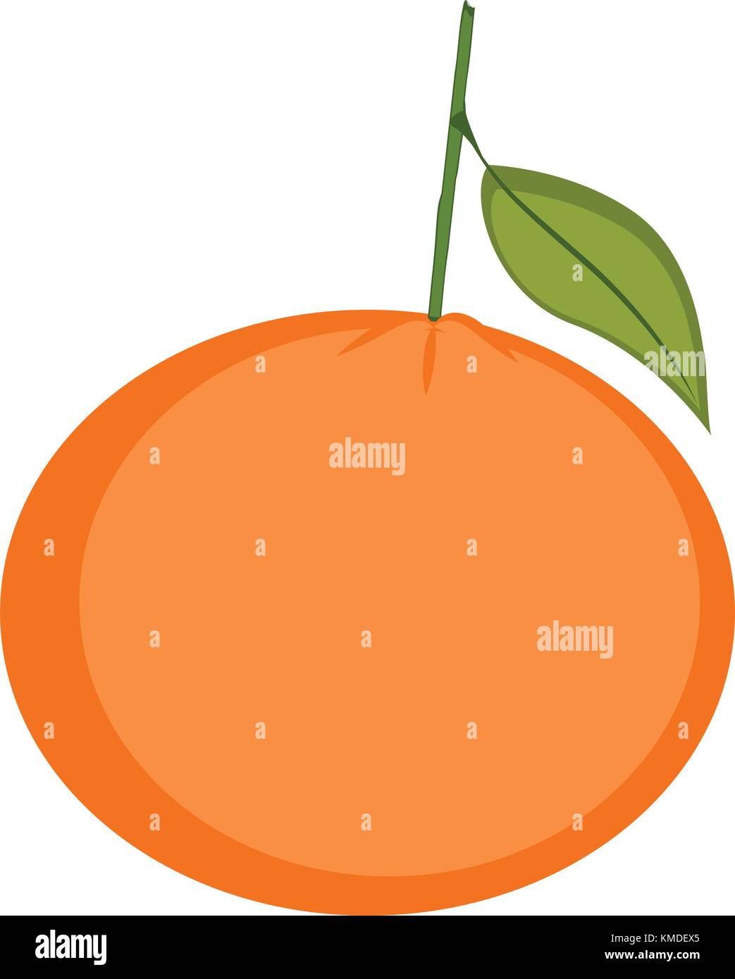 Isolated tangerine illustration Stock Vector Image & Art - Alamy