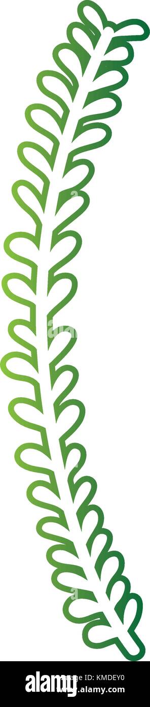 color line rustic branch with natural leaves design Stock Vector Image ...