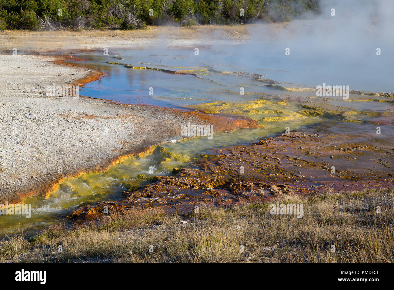 Colorful hot water pool in the Yellowstone National park, USA Stock ...