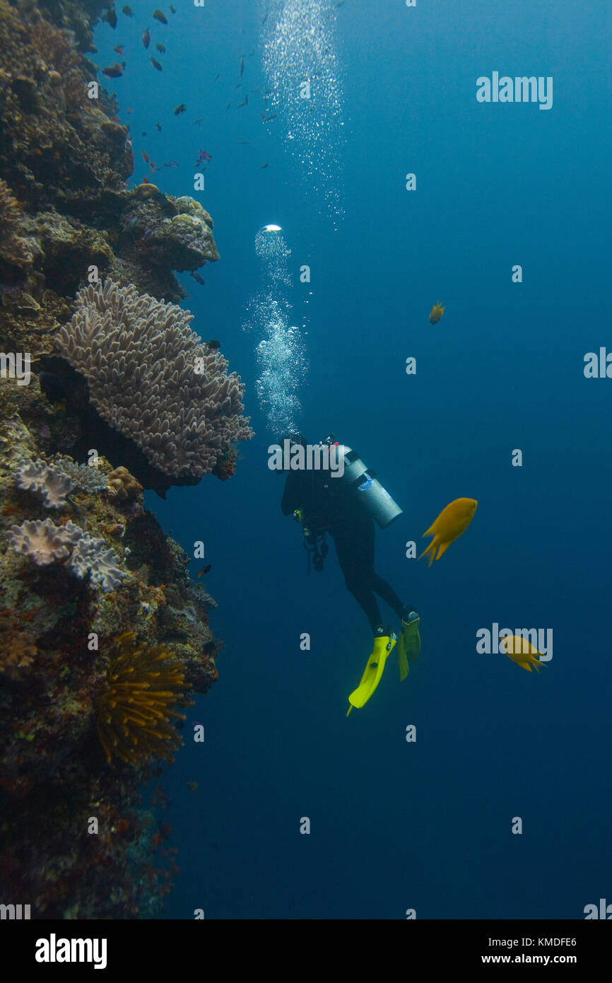 Wall dive hi-res stock photography and images - Alamy