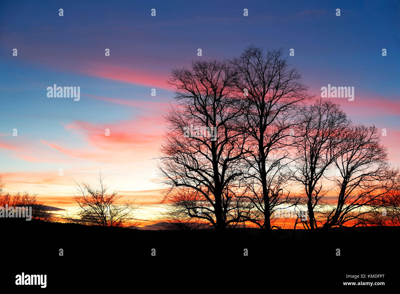 Tree silhouettes at Sunset over Otley with sky showing beautiful reds ...
