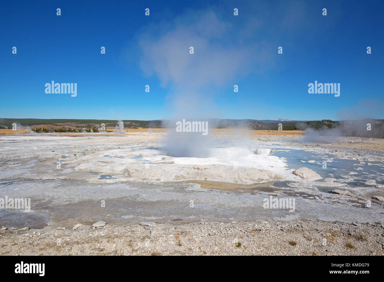 Lower geyser basin in the Yellowstone National park, USA Stock Photo ...