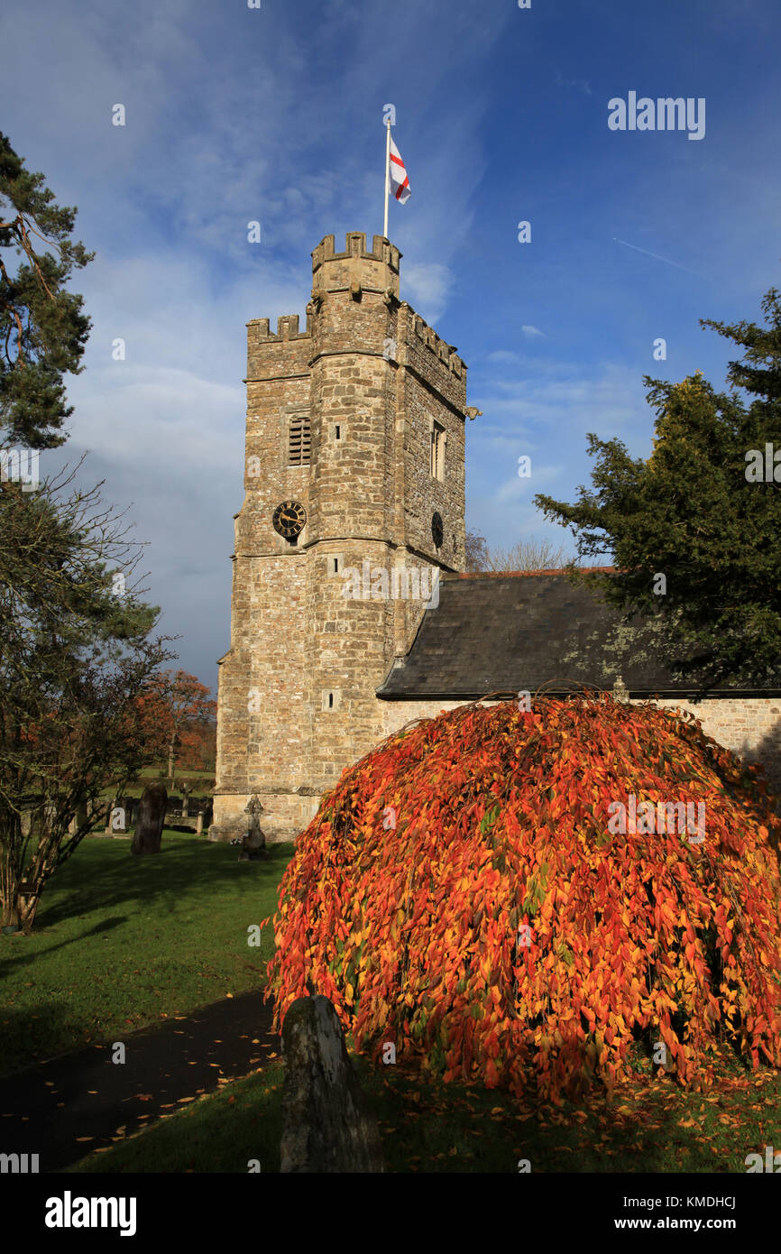 Axminster devon hi-res stock photography and images - Alamy
