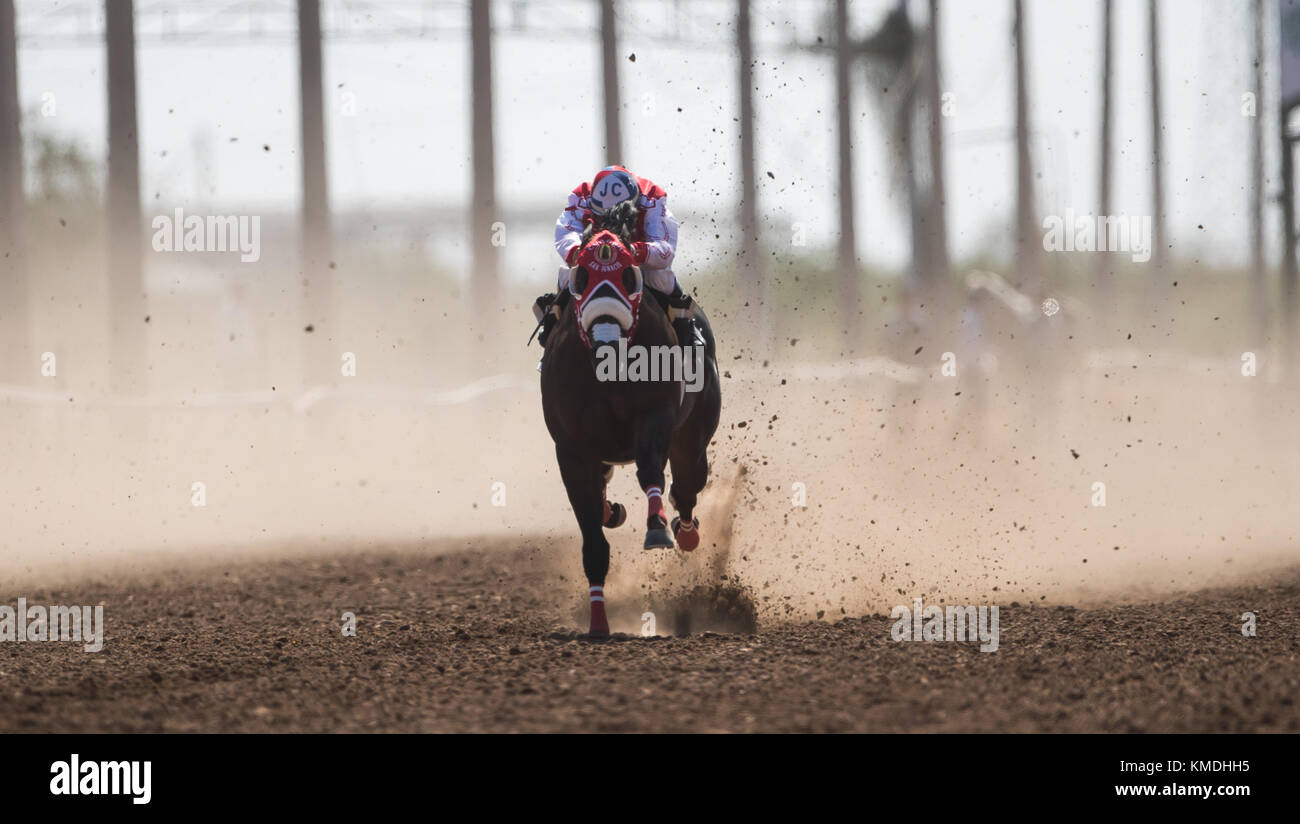 Horse racing at sunset at Hippodrome of Hermosillo, Sonora Mexico ...