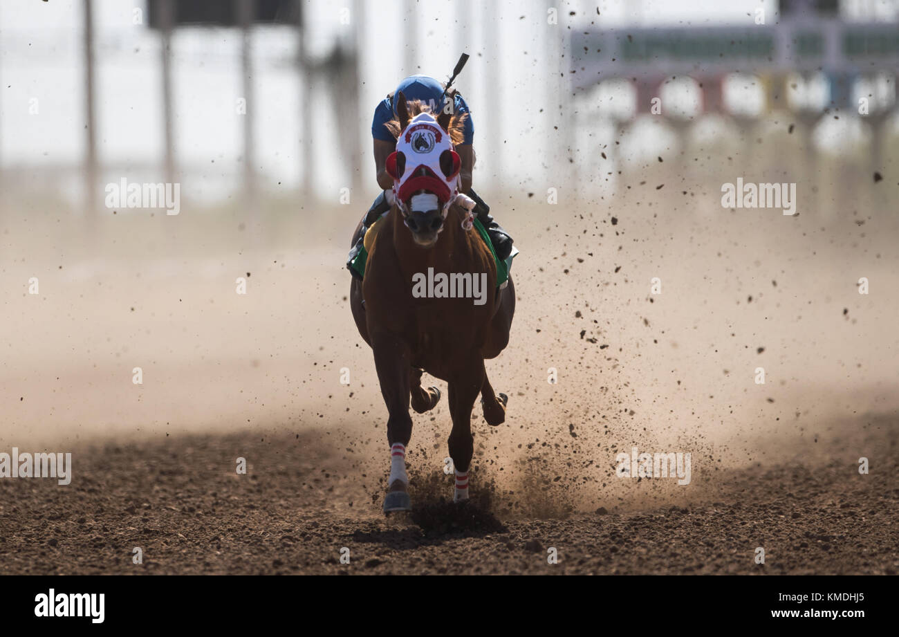Horse racing at sunset at Hippodrome of Hermosillo, Sonora Mexico ...