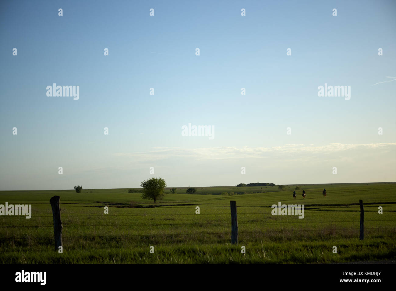 Three distant horse riders on a wide open range at a ranch in evening ...