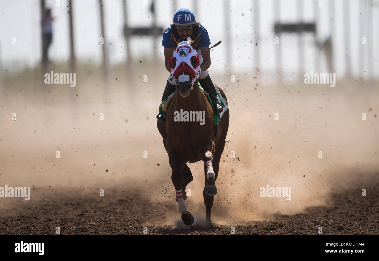 Horse racing at sunset at Hippodrome of Hermosillo, Sonora Mexico ...