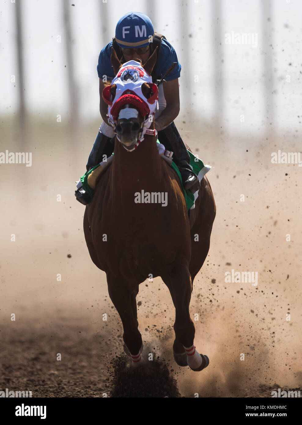 Horse racing at sunset at Hippodrome of Hermosillo, Sonora Mexico ...
