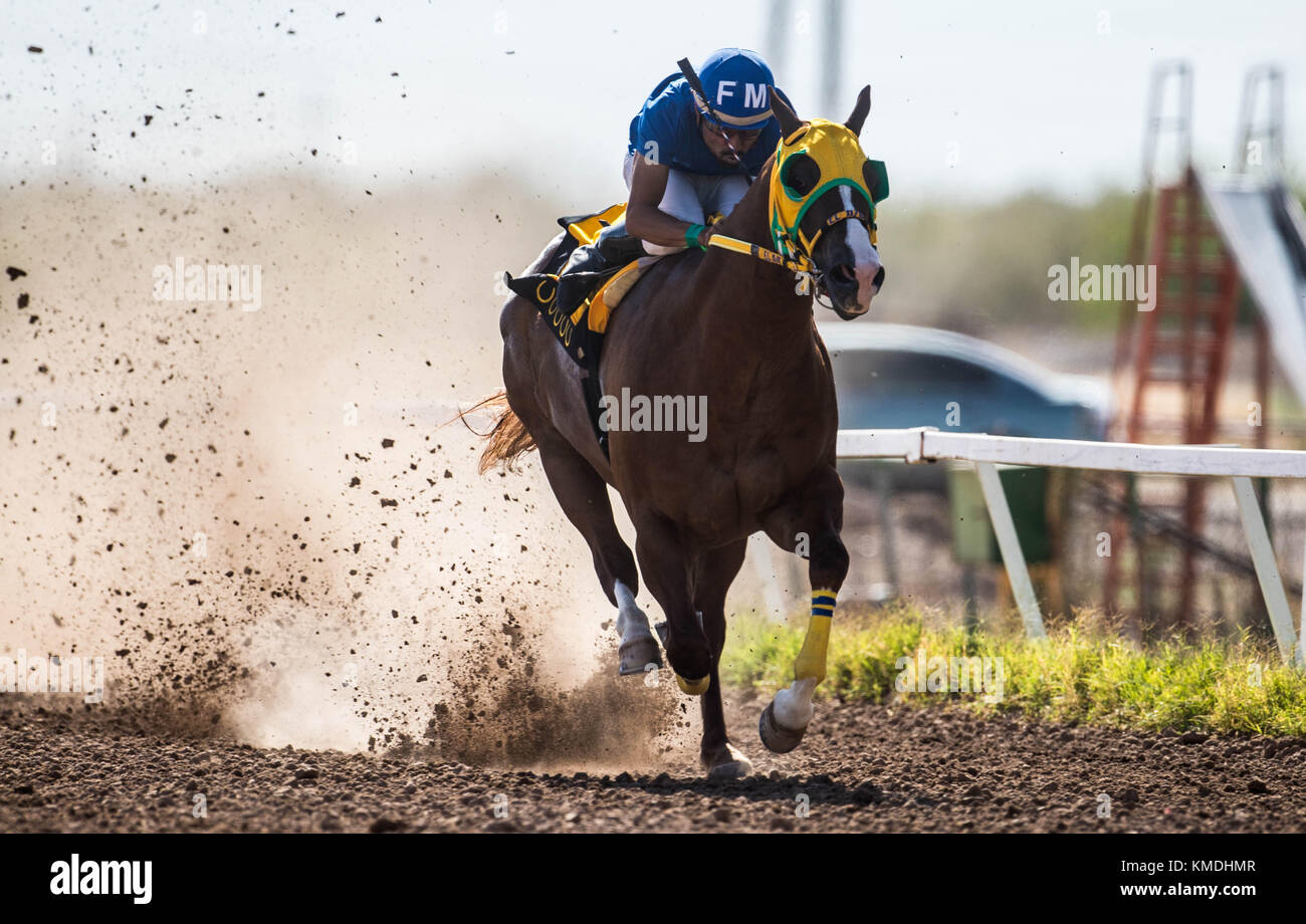 Carrera de pista de tierra hi-res stock photography and images - Alamy