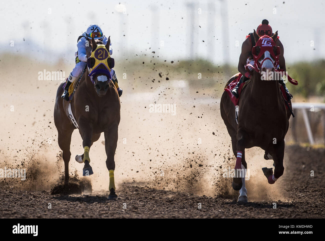 Horse racing at sunset at Hippodrome of Hermosillo, Sonora Mexico ...