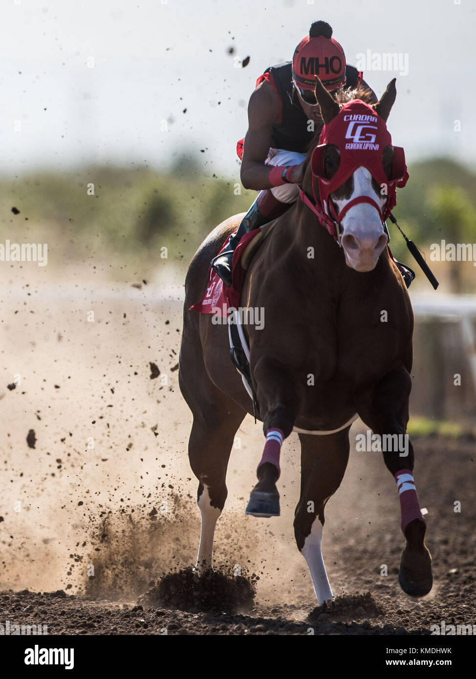 Caballos De Carreras Mexicanos