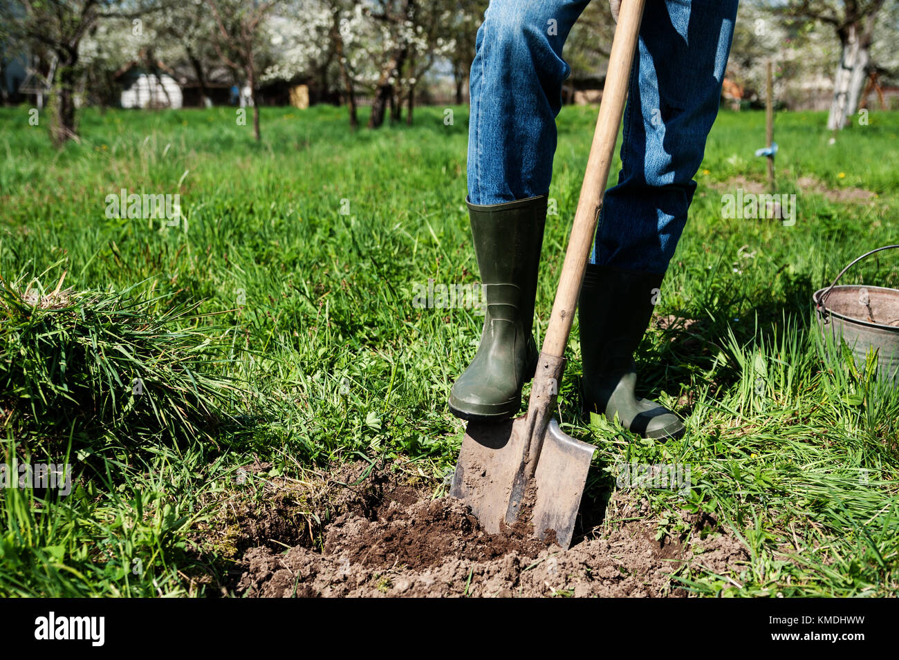 Man digs a hole in the ground for planting trees Stock Photo - Alamy