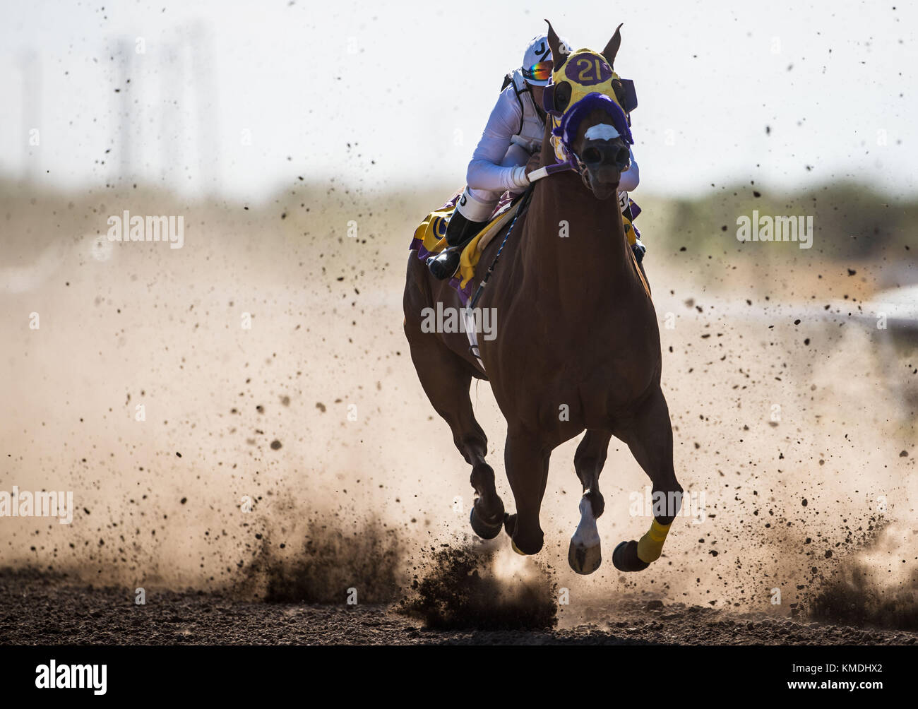 Control de carrera hi-res stock photography and images - Alamy