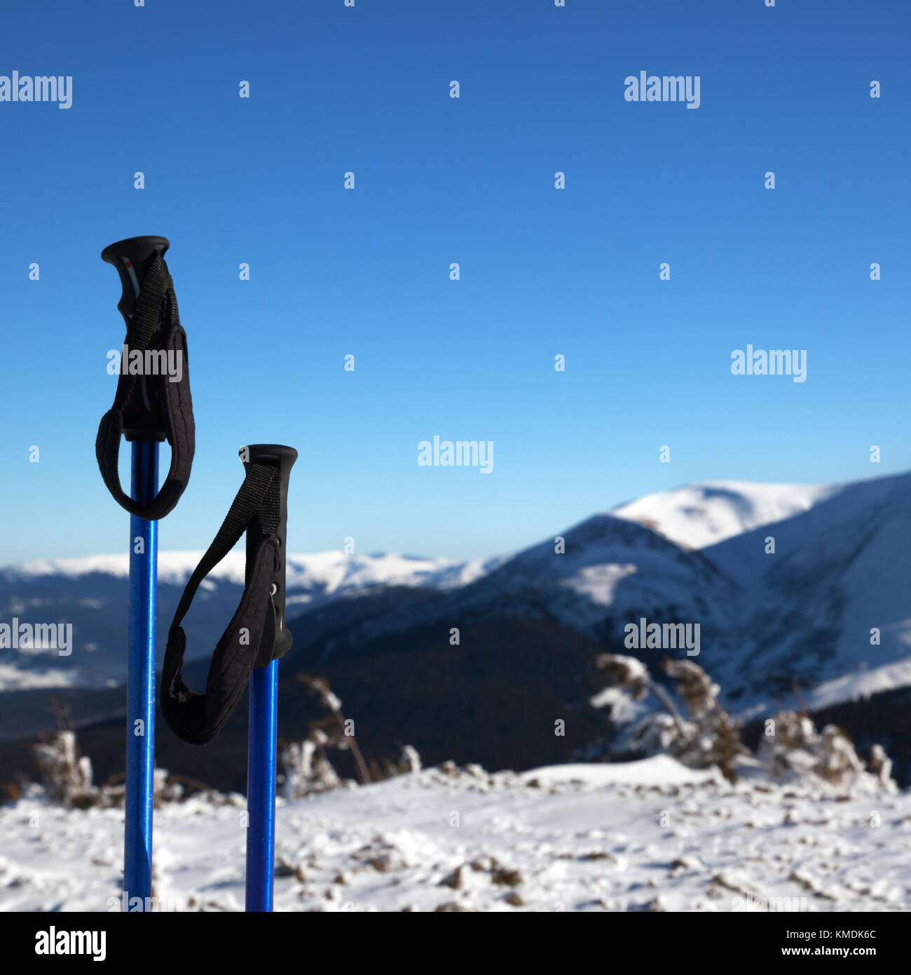 Ski poles in snow and snow-capped mountains at background. Carpathian ...