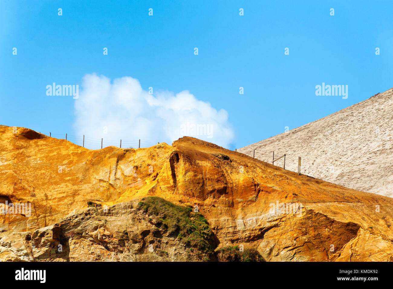 Plants pacific northwest border hi-res stock photography and images - Alamy